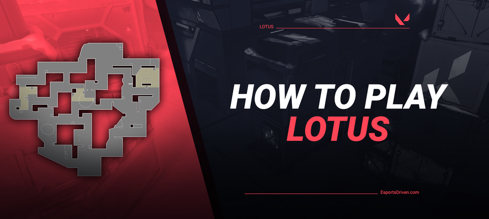How To PROPERLY Play Lotus | Strategies and Guides