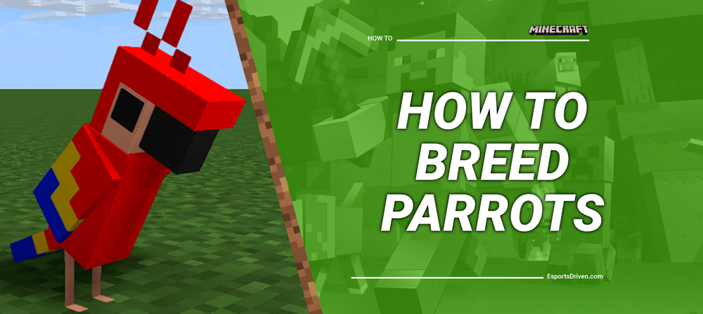 Parrot Breeding in Minecraft: The Ultimate Guide