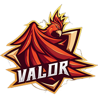 Team Valor