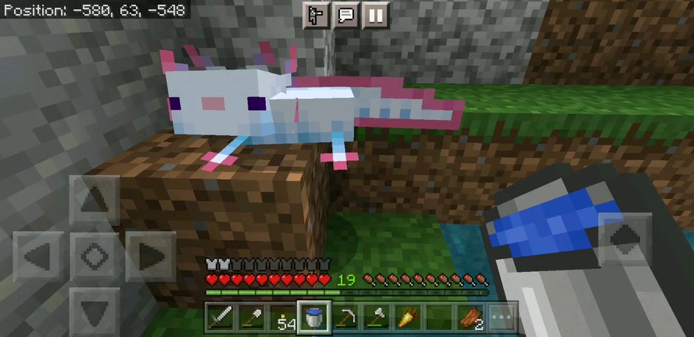 How to Breed Axolotls in Minecraft: A Step-by-Step Guide