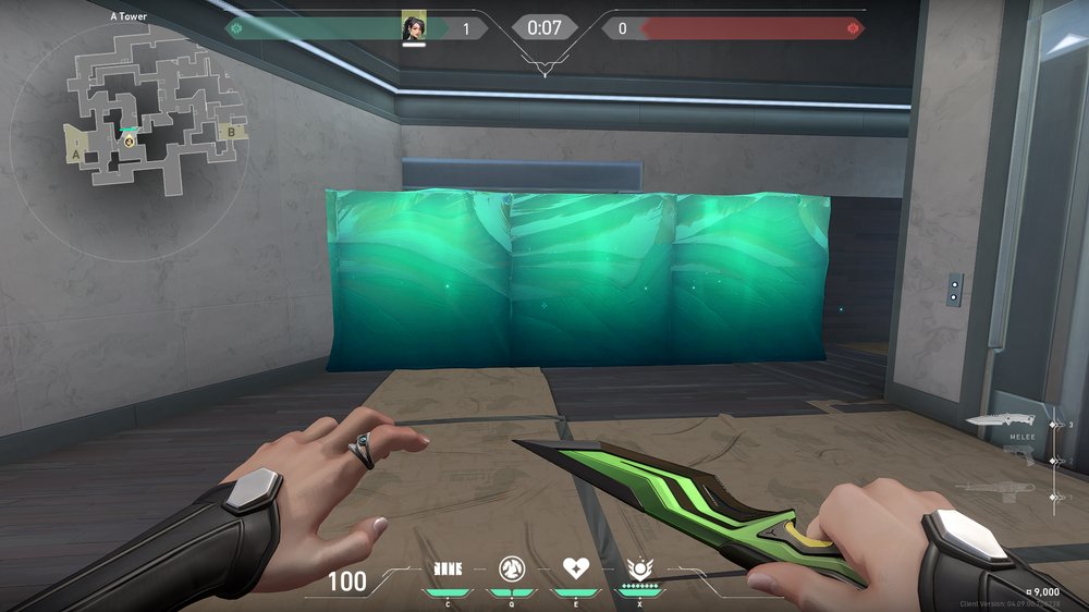 The Best Sage Walls on Split