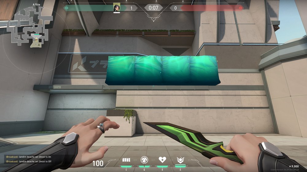 The Best Sage Walls on Split