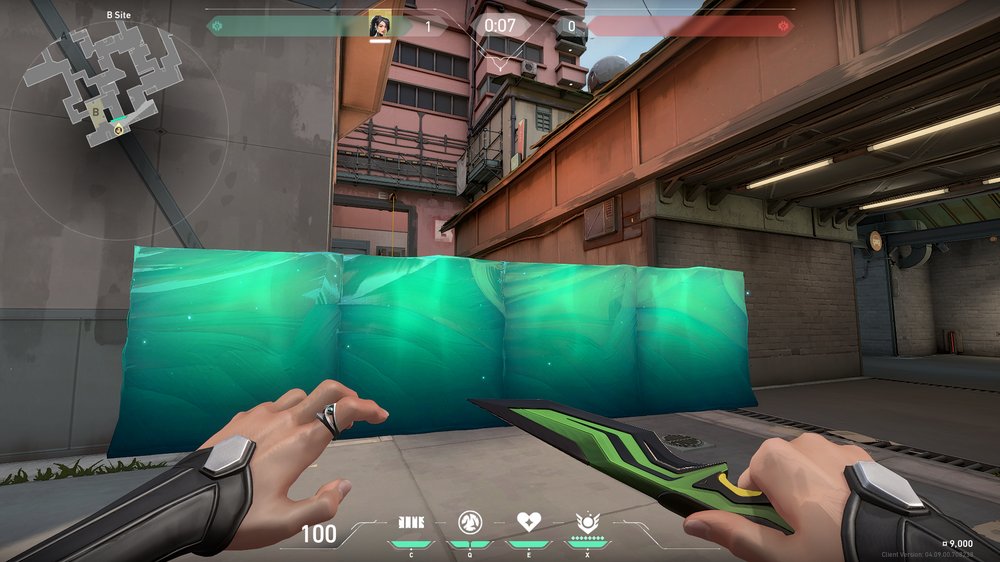 The Best Sage Walls on Split