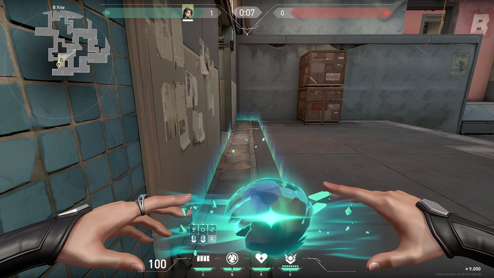 The Best Sage Walls on Split