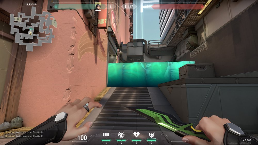 The Best Sage Walls on Split